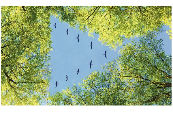 Precision Technology Signal Chain Platforms - ADI | Mouser